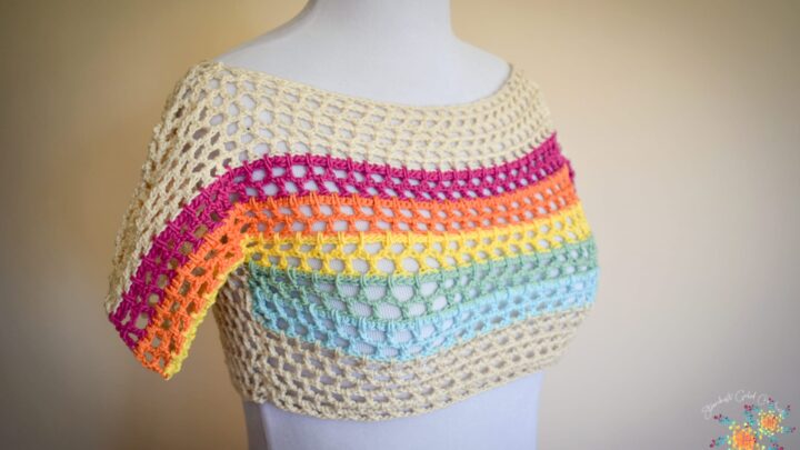 Free Crochet Crop Top Pattern | Rainbow Mesh Tee - Stardust Gold Crochet
