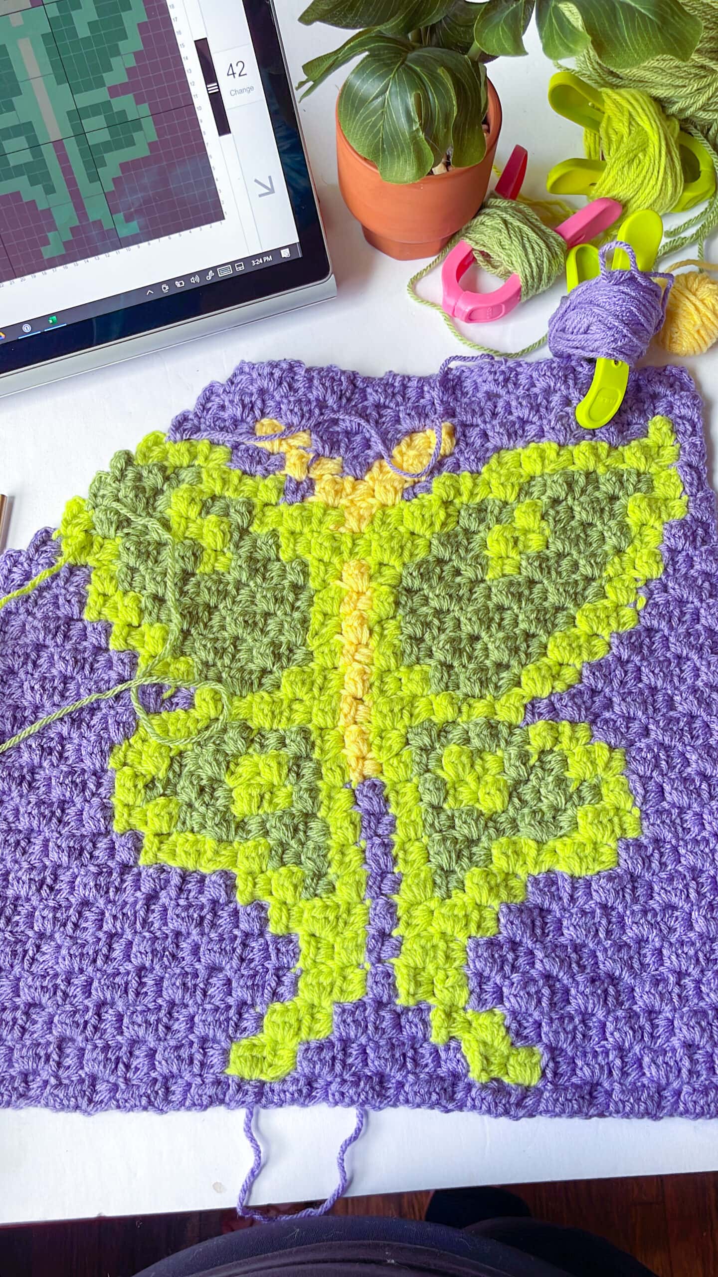 Whimsical Luna Moth Crochet Pattern C2C - Stardust Gold Crochet